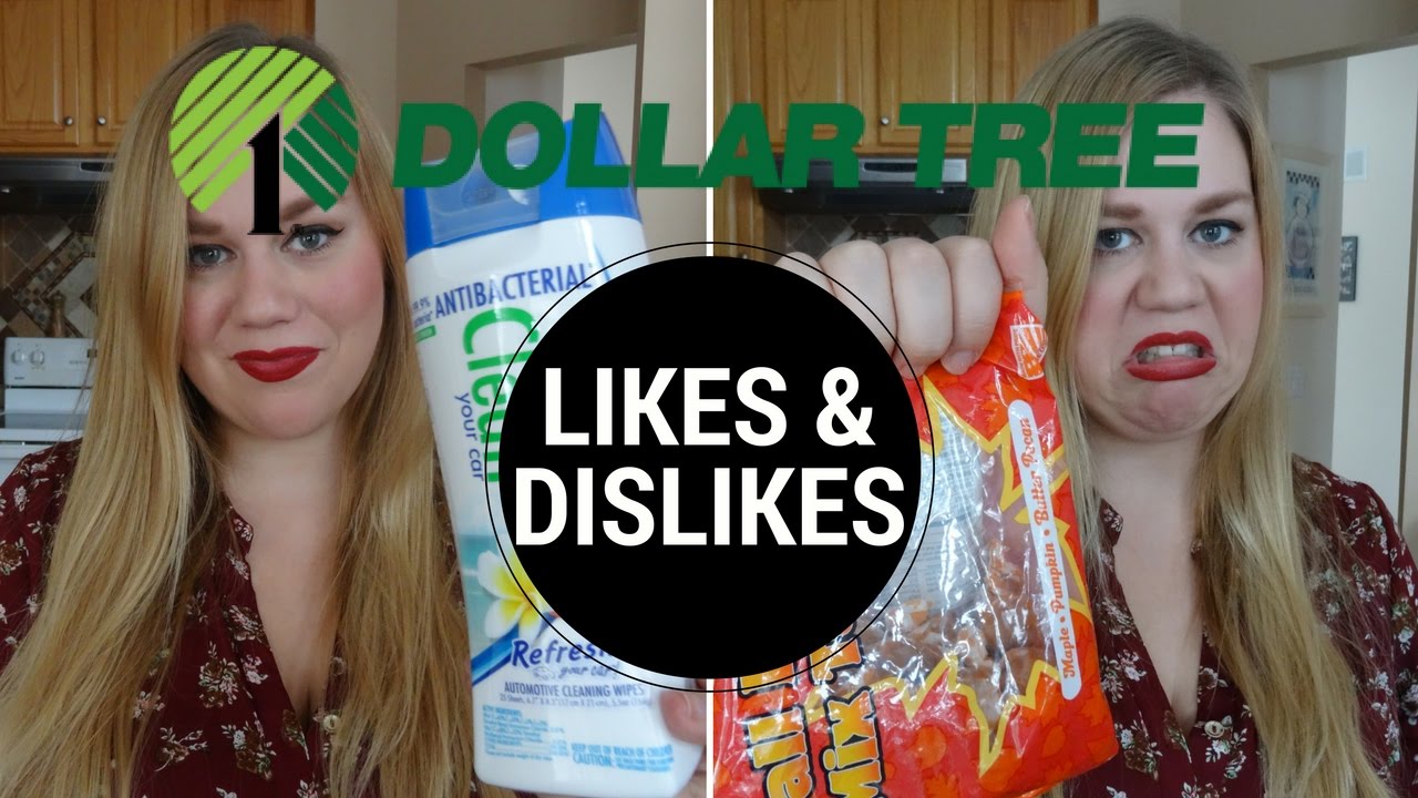 LIKES & DISLIKES FROM THE DOLLAR TREE | WAS IT WORTH BUYING? | NOVEMBER ...