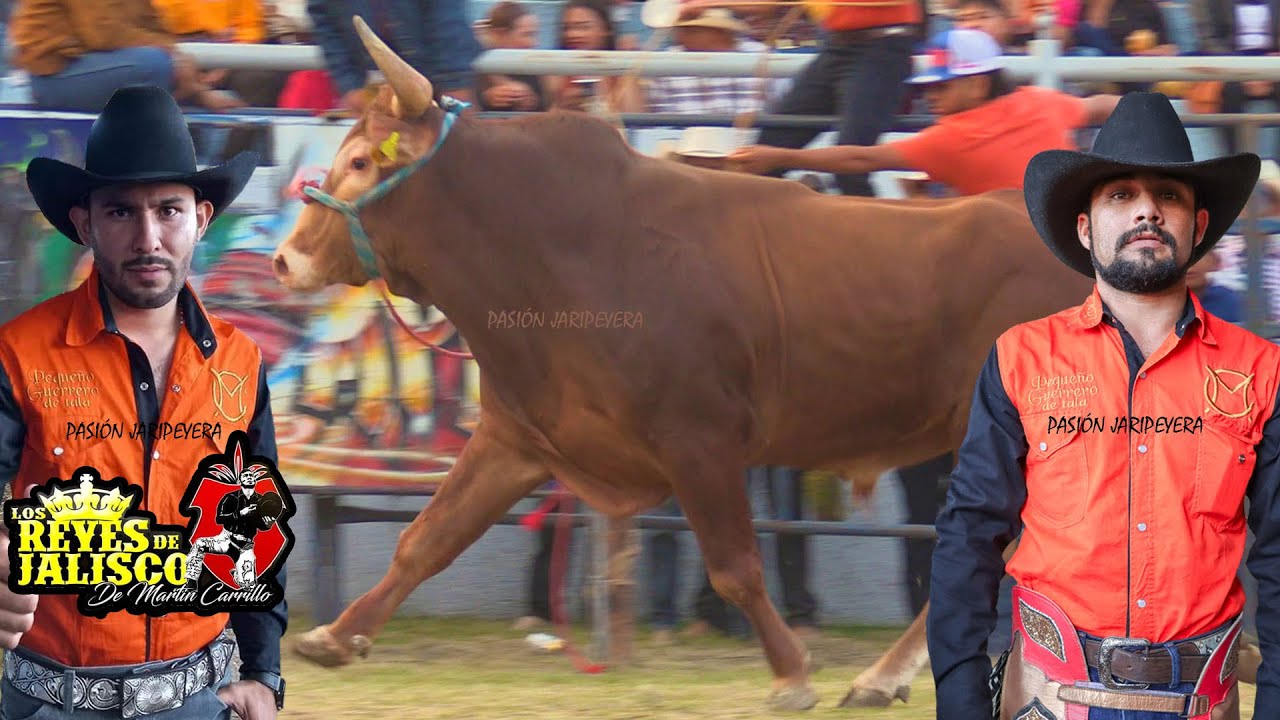 JINETES REYES DE JALISCO vs PURO TORO MEXICANO Rancho la Palma en Charo ...