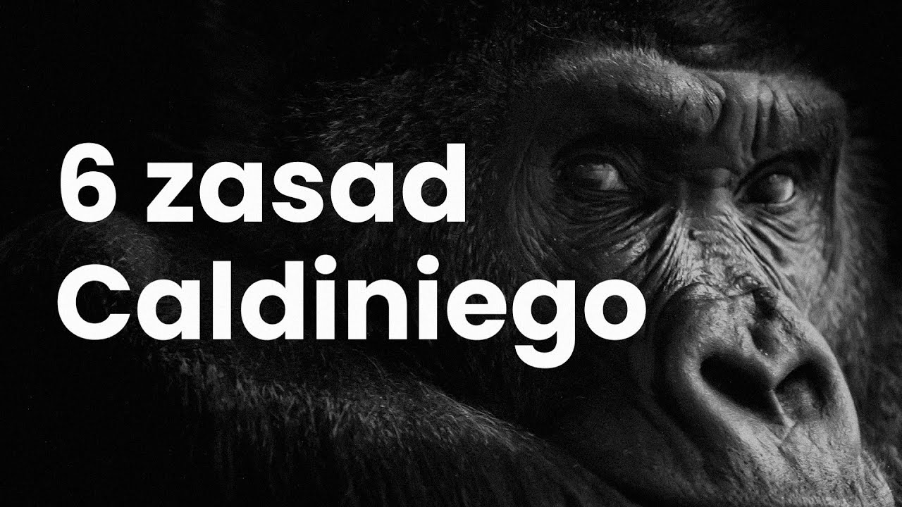 6 reguł Cialdiniego - Goryl tłumaczy - YouTube