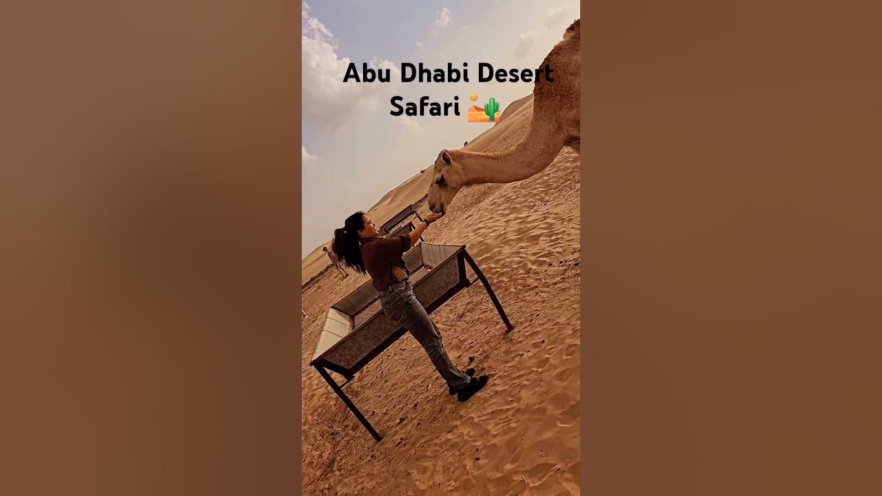 🏜 Safari Abu Dhabi 🇦🇪 - YouTube