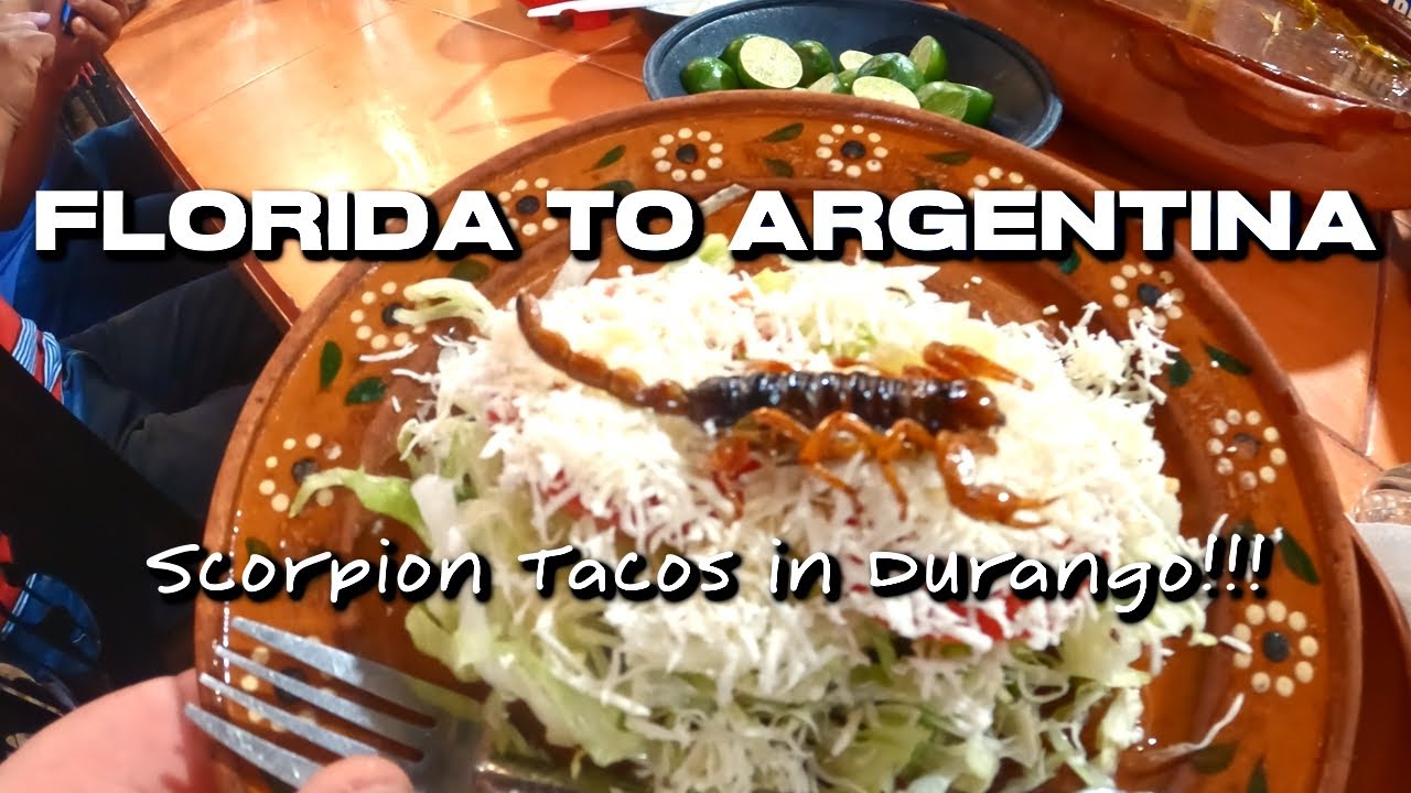 Scorpion Tacos - The Search in Durango! [EP: 1.28] - YouTube