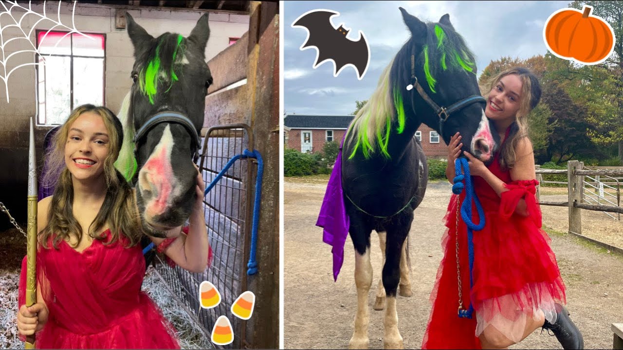HALLOWEEN AT THE STABLES 2022 VLOG || Horses in Costumes & Trick or ...