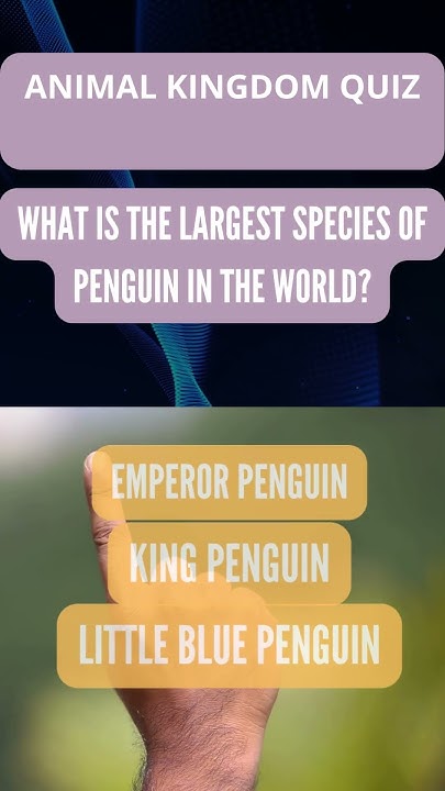 1 Mind Bending Quiz Challenge Can You Solve It Youtube