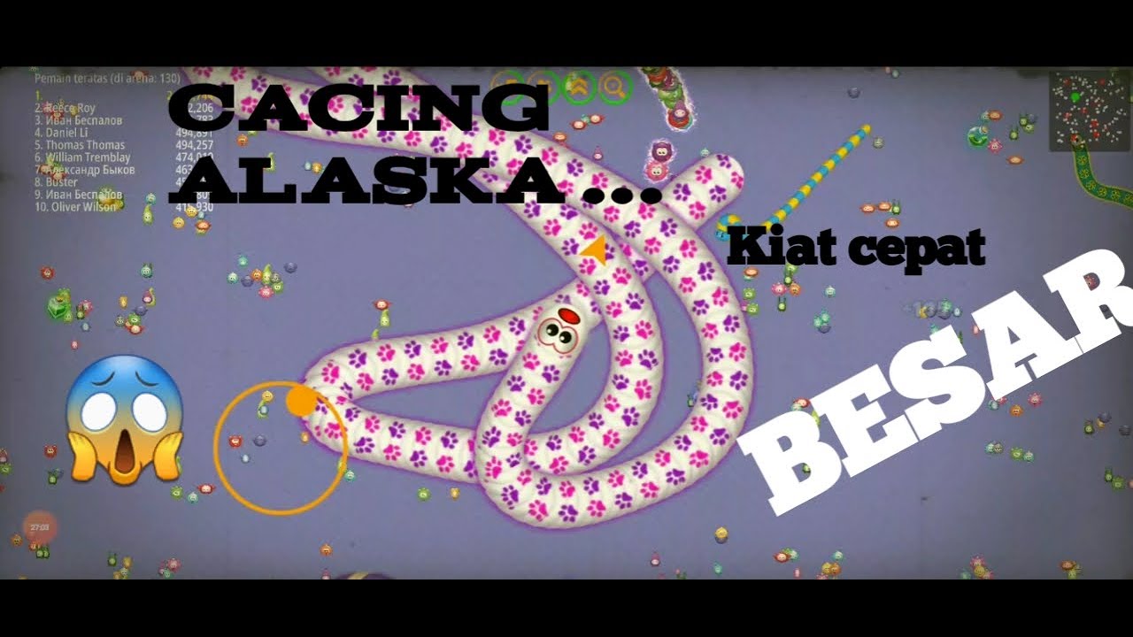 🔴Cacing Besar Alaska🔴WormsZone.io🔴 - YouTube