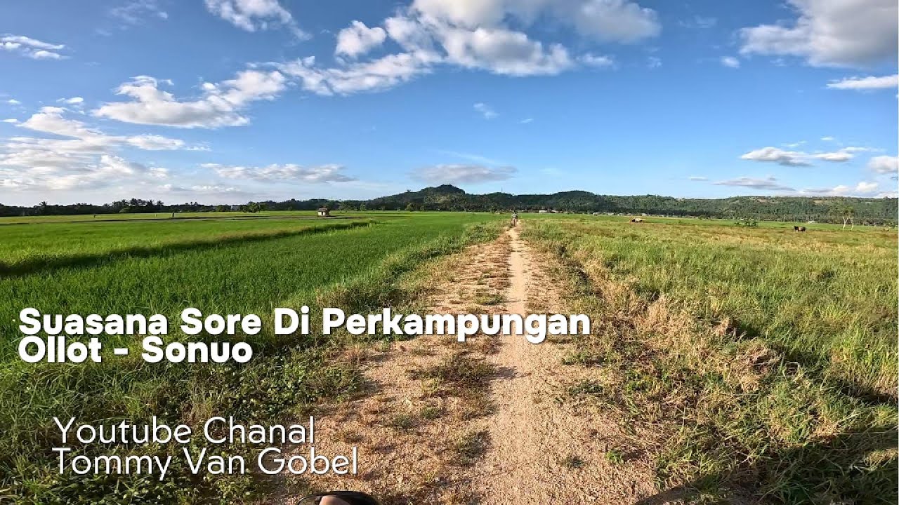 Suasana Sore perkampungan Desa Ollot - Sonuo tersimpan pemandangan Alam ...