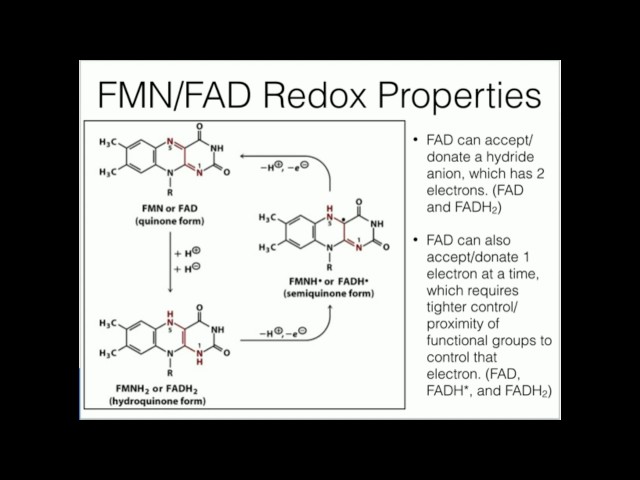 Fad Molecule