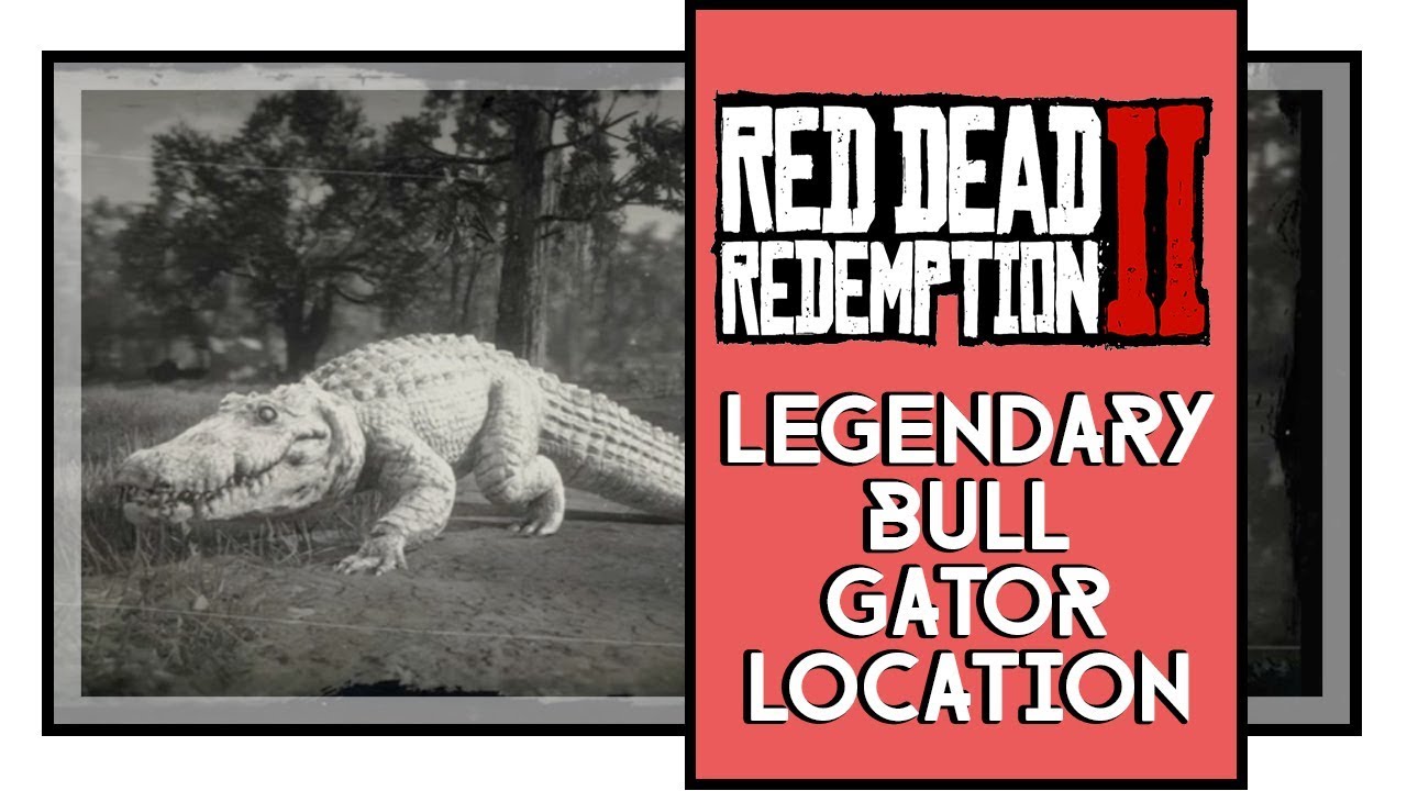 Red Dead Redemption 2 Legendary Bull Gator Location - YouTube