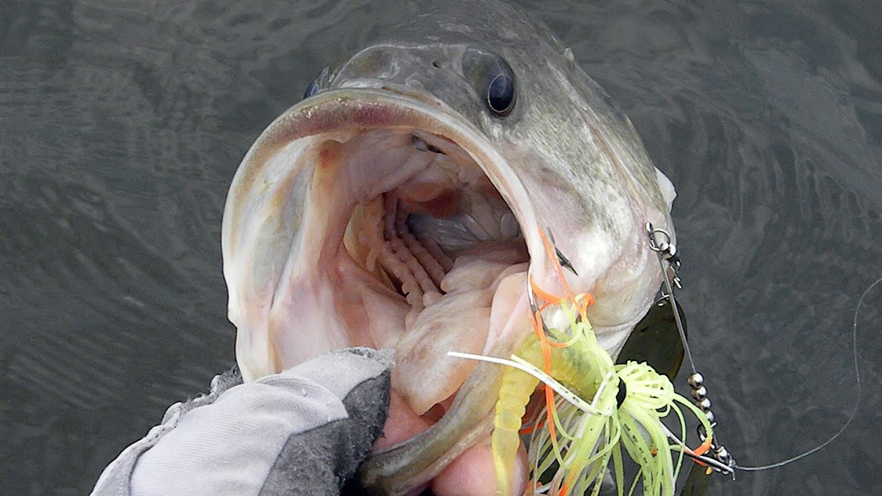 7 Best Lures For Spring Bass Fishing | How To | Bass Fishing - YouTube