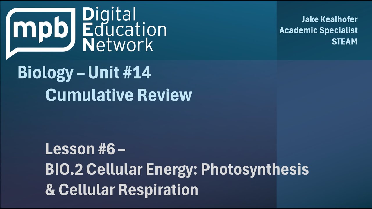 Biology Unit 14 Lesson 6: BIO.2 Cellular Energy: Photosynthesis ...