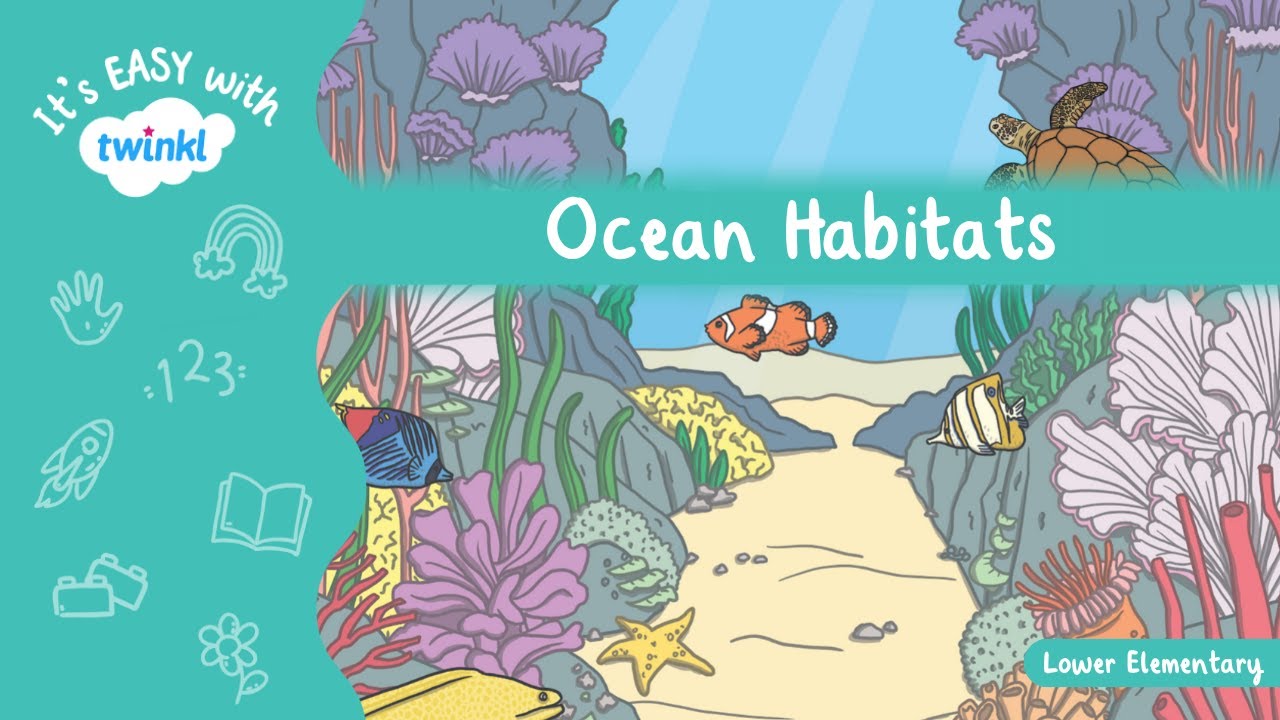 Ocean Habitats | Layers of the Ocean & The Five Oceans | It's Easy With ...