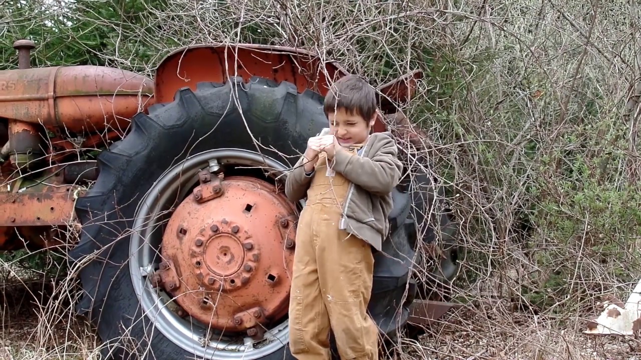 When Invasive Plants Attack - YouTube