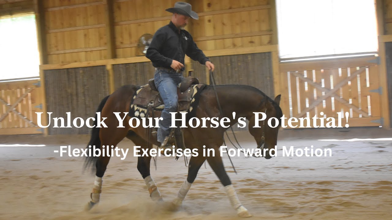 Unlock Your Horse's Potential! Flexibility Exercises in Forward Motion ...