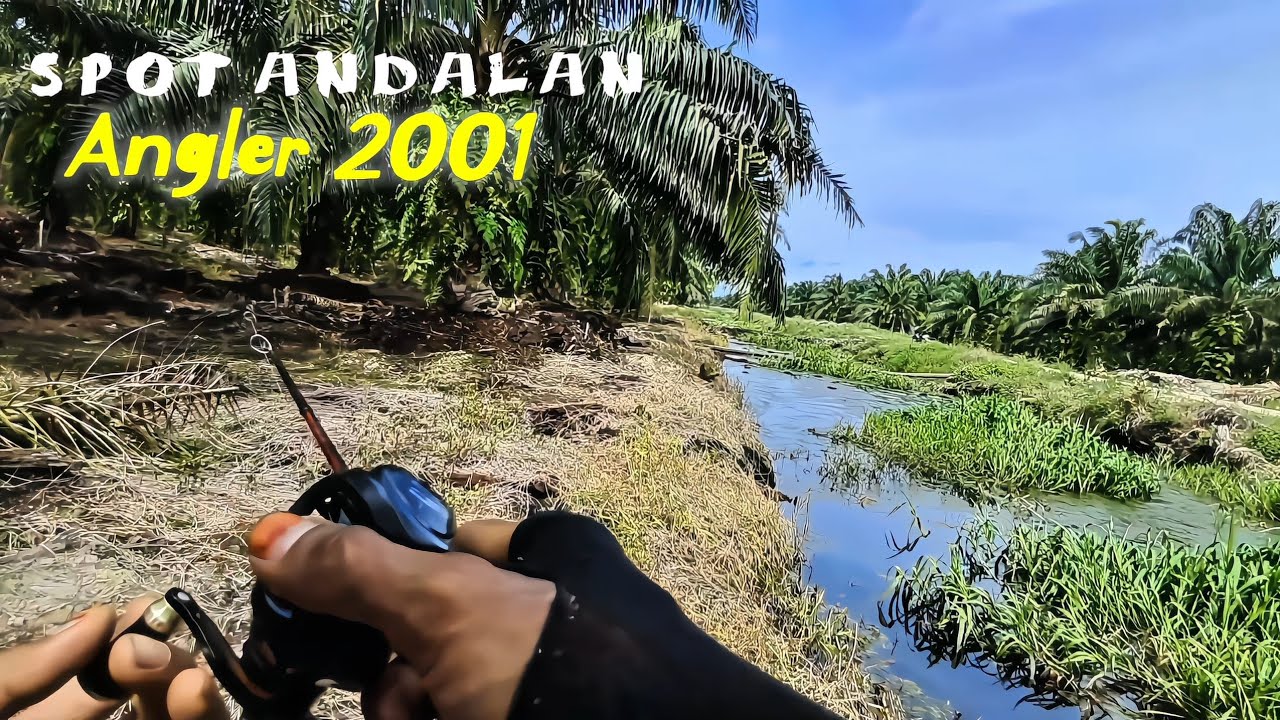Casting di spot Andalan Angler 2001🤔! IKANNYA BANYAK DAN BESAR-BESAR ...