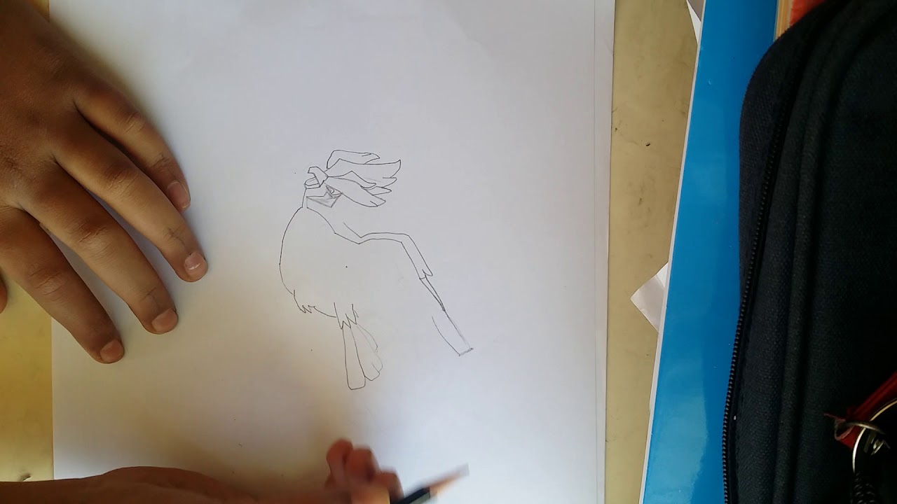 How to draw mega Pidgeot - YouTube