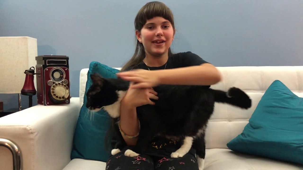 Bella Zoe saying thanks - YouTube