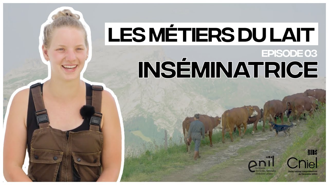 Les Métiers du Lait - Manon, future inséminatrice - YouTube
