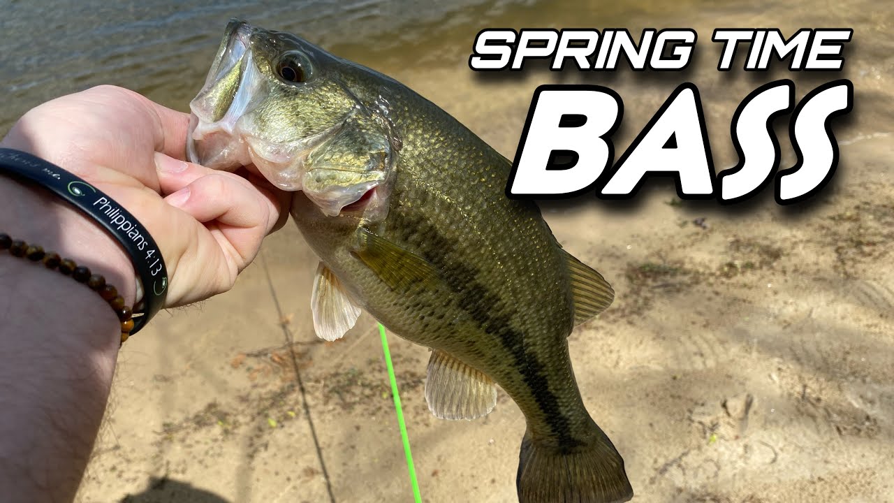 Spring time Fishing for Bass - YouTube