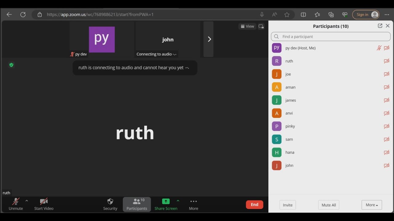 Zoom Fake Participants Software - Adding FAKE Members to Your Zoom ...