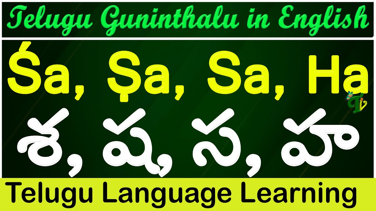 Sa Sha Sa Ha Guninthalu in English | How to write Telugu Guninthalu in ...