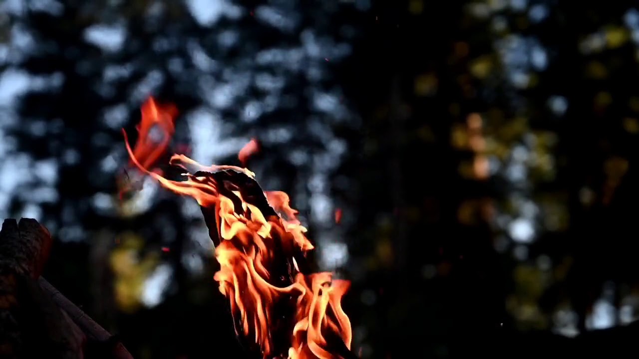 Free Copyright Campfire Fire Flames No copyright Nature HD Video - YouTube