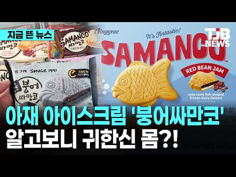 아재 아이스크림 '붕어싸만코' 알고보니 귀한신 몸?!｜ TJB 대전·세종·충남뉴스