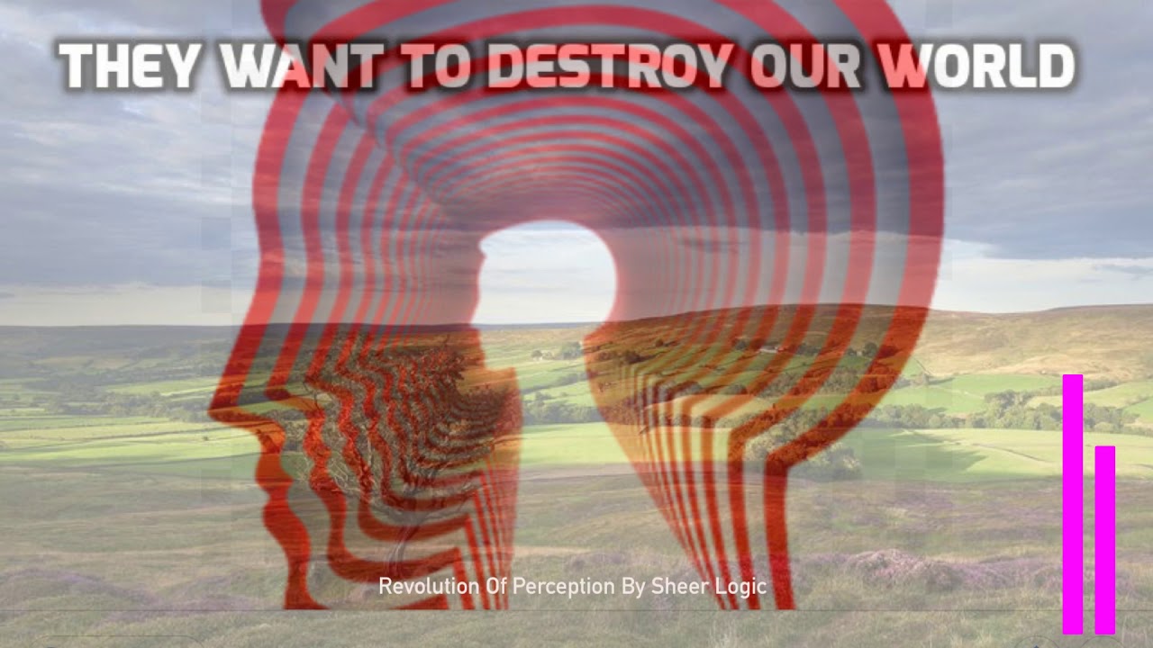 Revolution Of Perception By Sheer Logic - YouTube