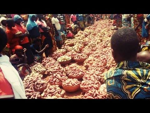 Ibijumbu By Happy-Ric Family Senior