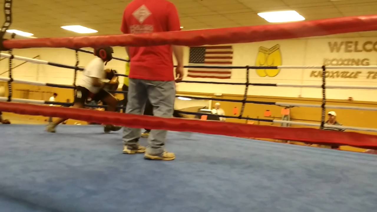 Sam the boxer - YouTube