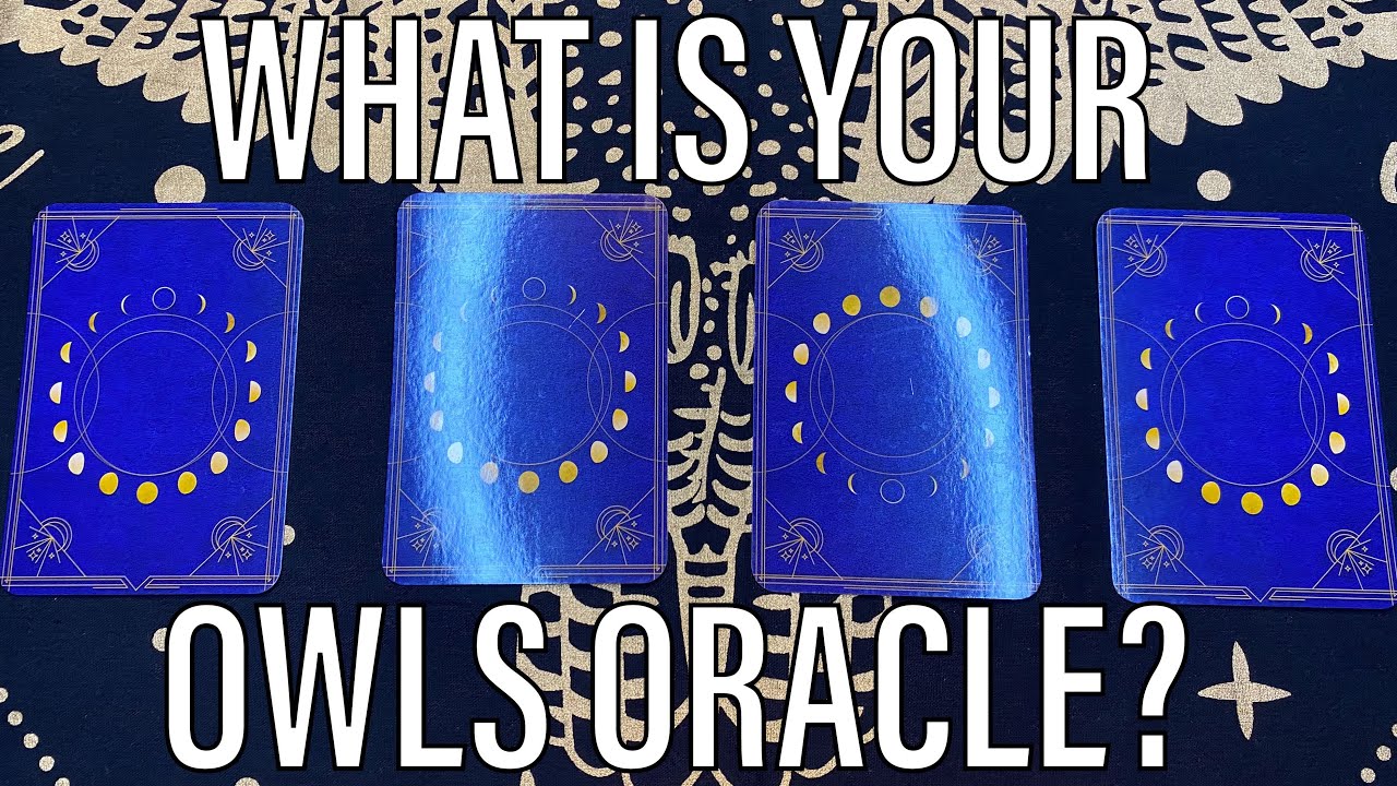 🦉What is your owls oracle?! 🔮🌞🧿 Timeless Pick A Card Tarot Reading ...