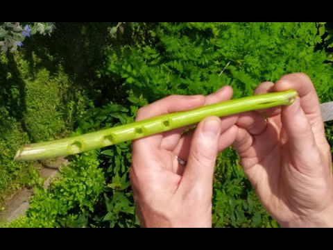 Fadno (traditional wind instrument of Sami people) cut out of Garden ...