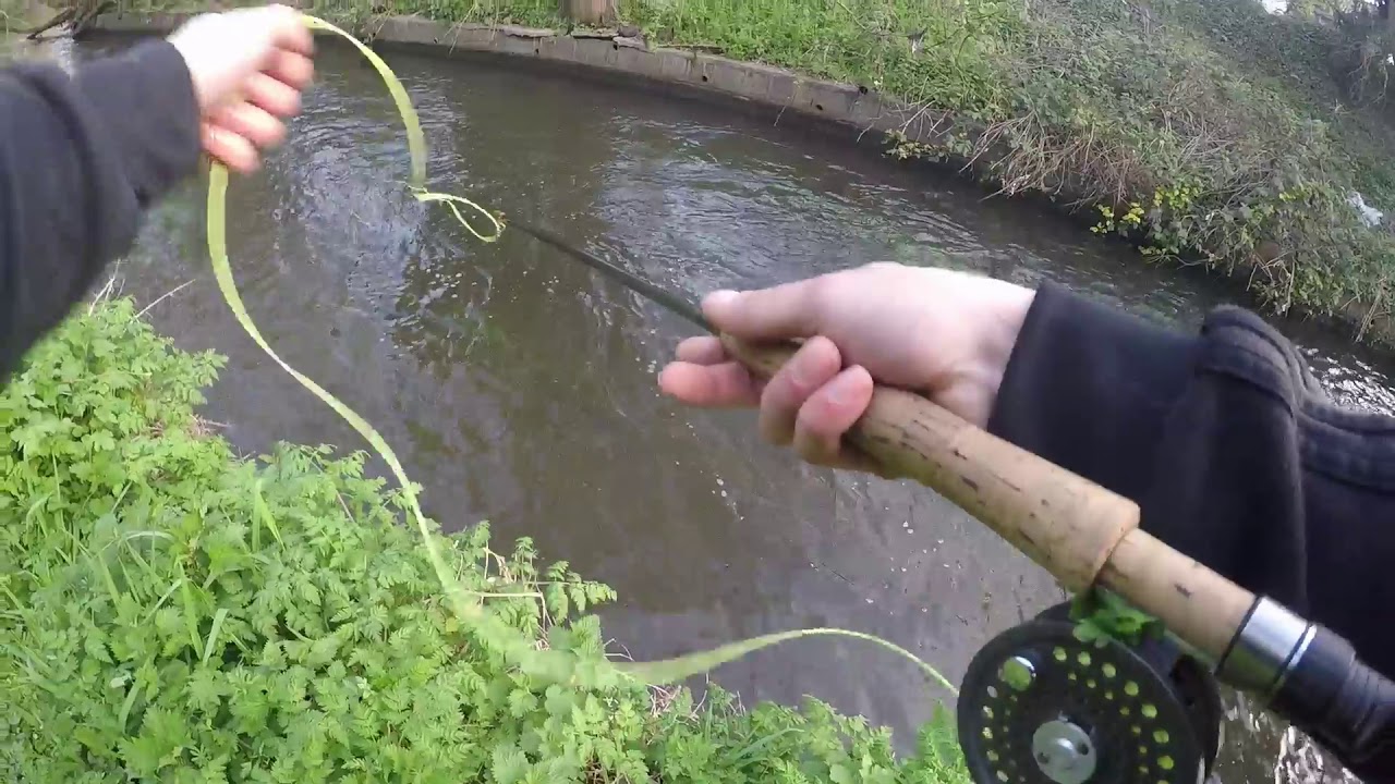 Fly Fishing River Wandle - YouTube