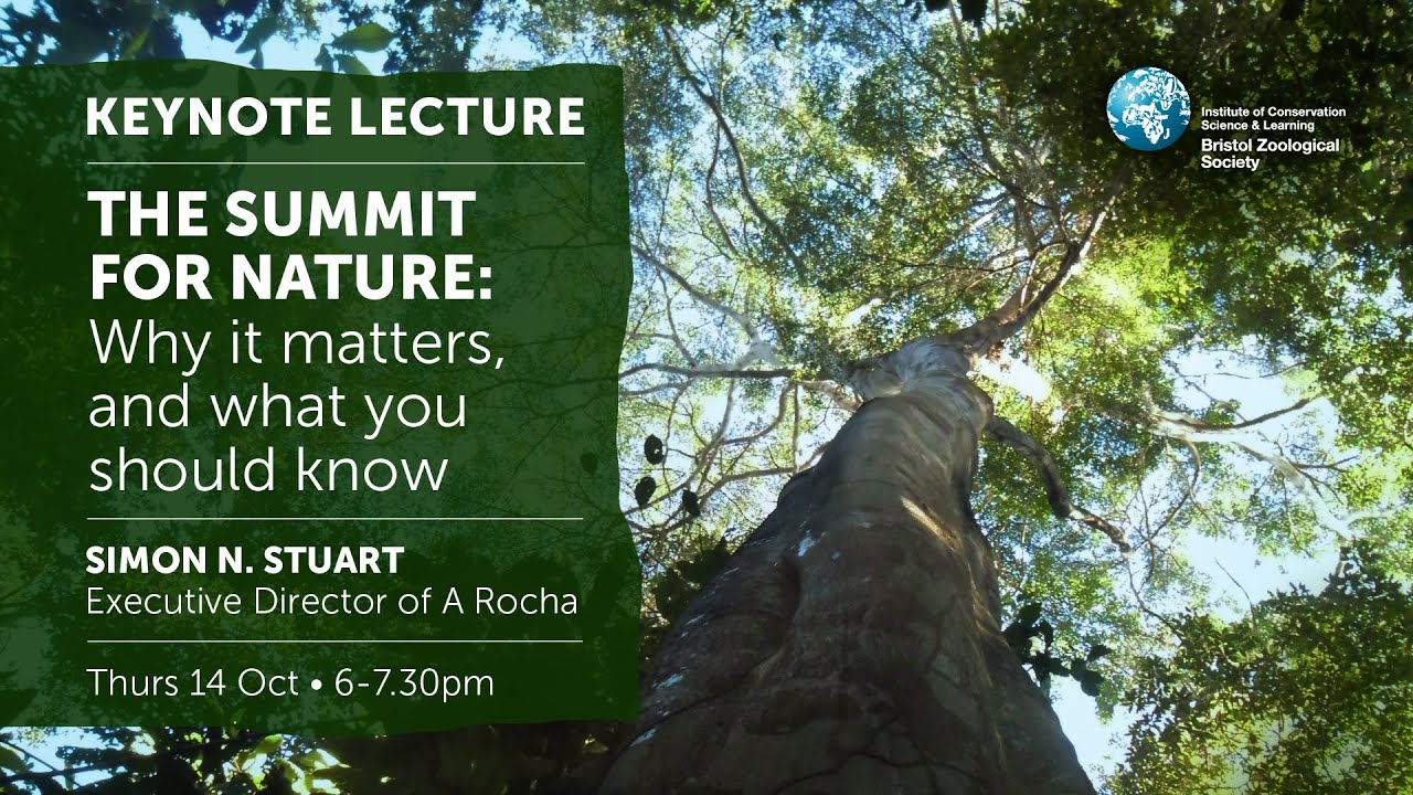 The Summit for Nature: Why it matters, and what you should know - YouTube