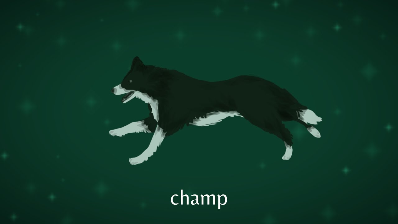 Champ - YouTube