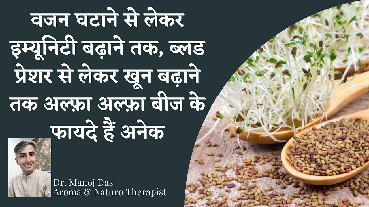 Benefits of ALFA ALFA SEEDS, How to use Alfa Alfa seeds, Amazing Alfa ...