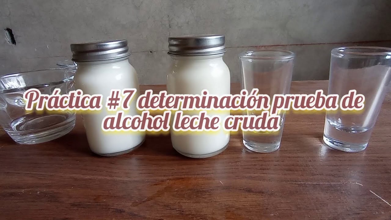 práctica #7 prueba de alcohol en la leche - YouTube