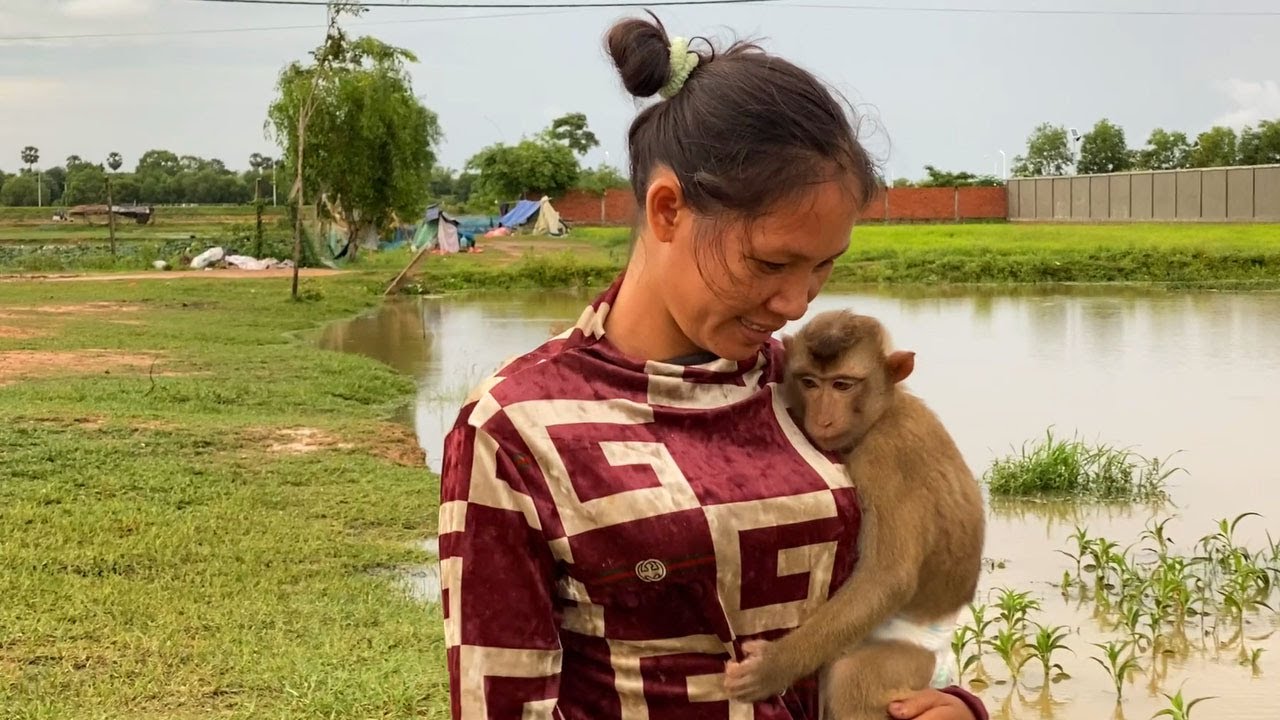 Mommy always brought beloved monkey Ella to visit at the field everyday ...