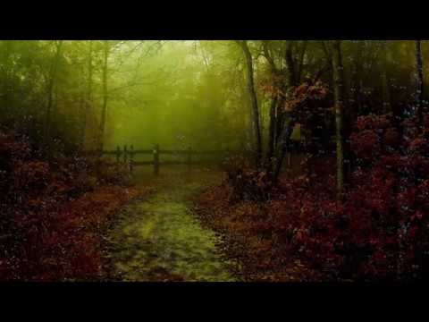 Música Para Dormir   Chuva e Flauta   2 Horas