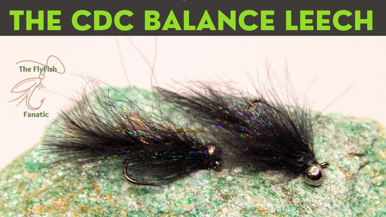 The CDC Balance Leech - YouTube