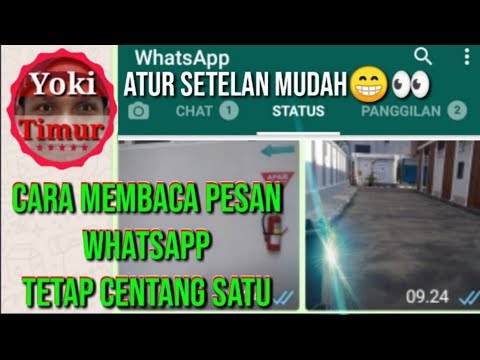 cara baca pesan WhatsApp tanpa diketahui_yokitimur