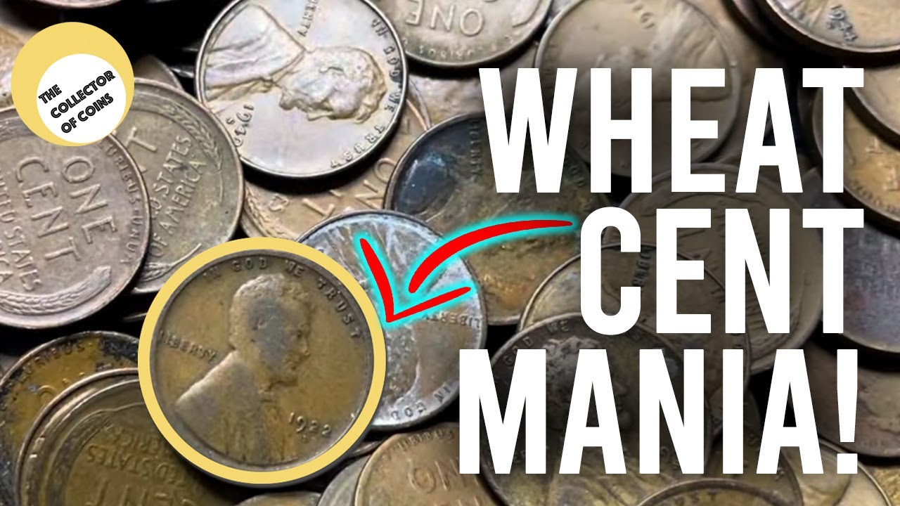 Key Date Wheat Cents From A Massive Coin Collection Purchase! PART 4 ...