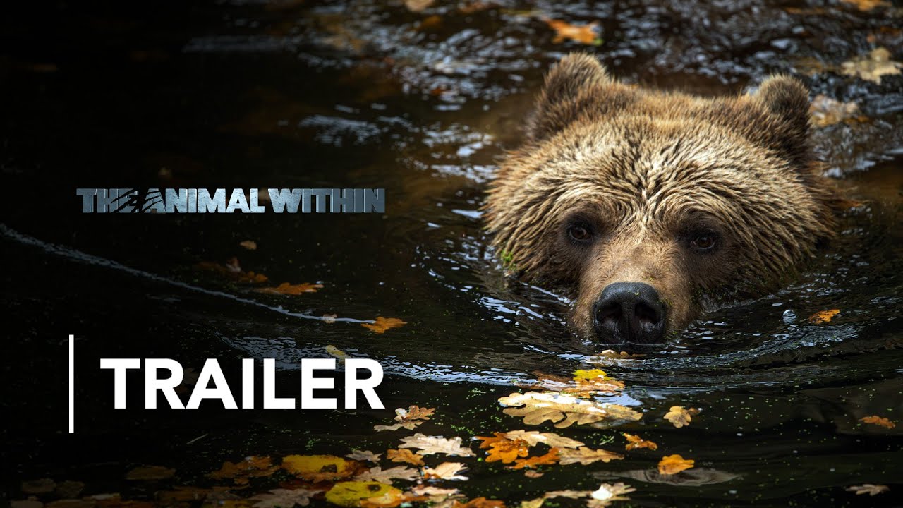 The Animal Within | Trailer | Super Channel - YouTube