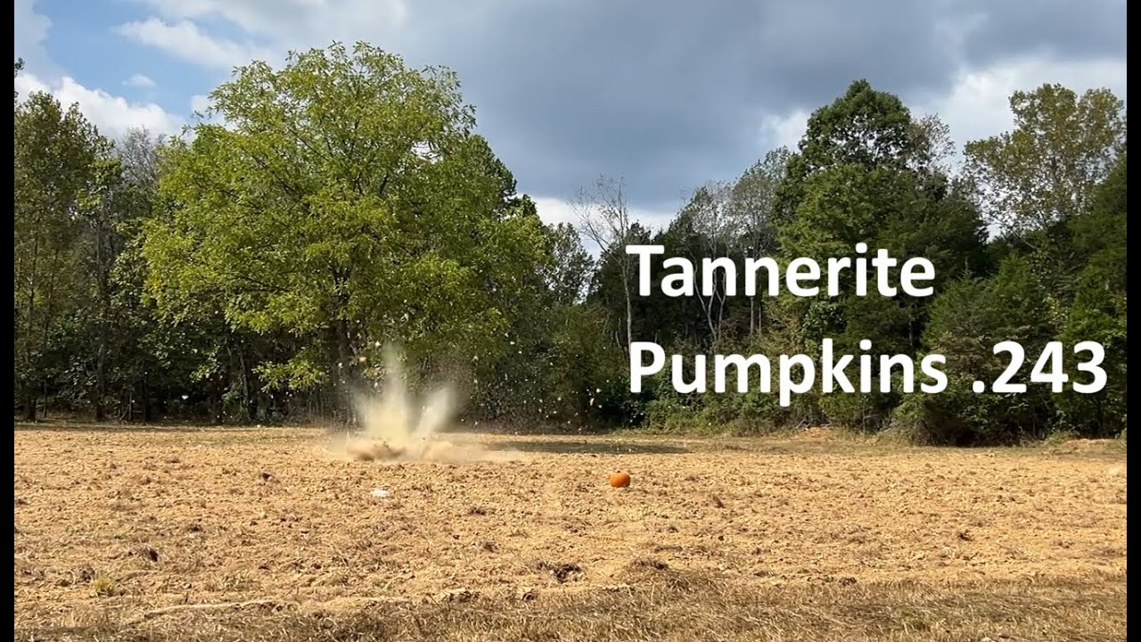 Tannerite Pumpkins 243 - YouTube