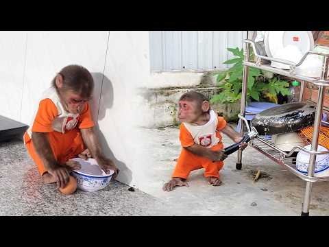Super Helper! Monkey SU Amazing Kitchen Skills After Mom's Lesson!