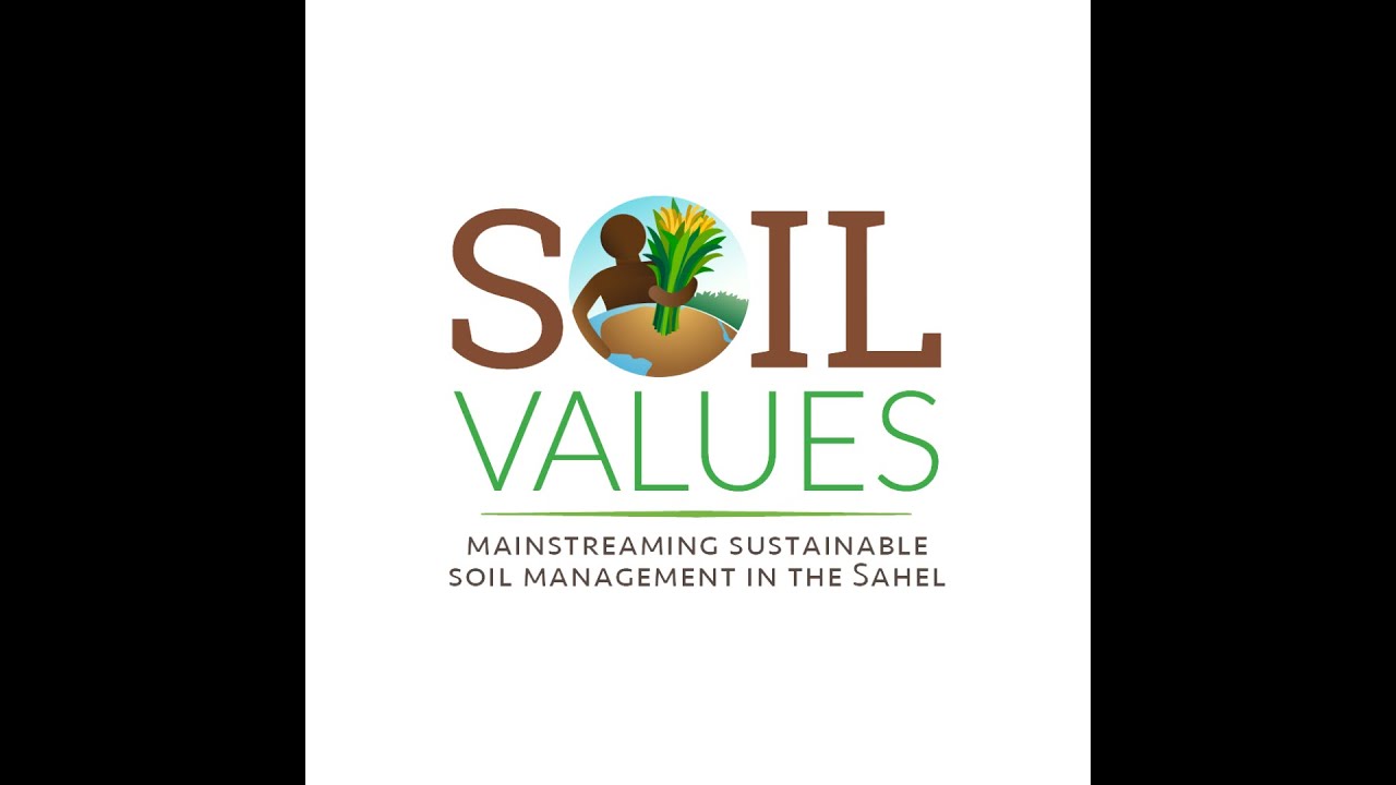 LAUNCHING OF SOIL VALUES - YouTube