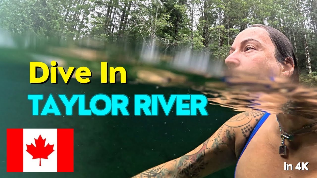 Cold Water Dive Into Taylor River - Vancouver Island - YouTube
