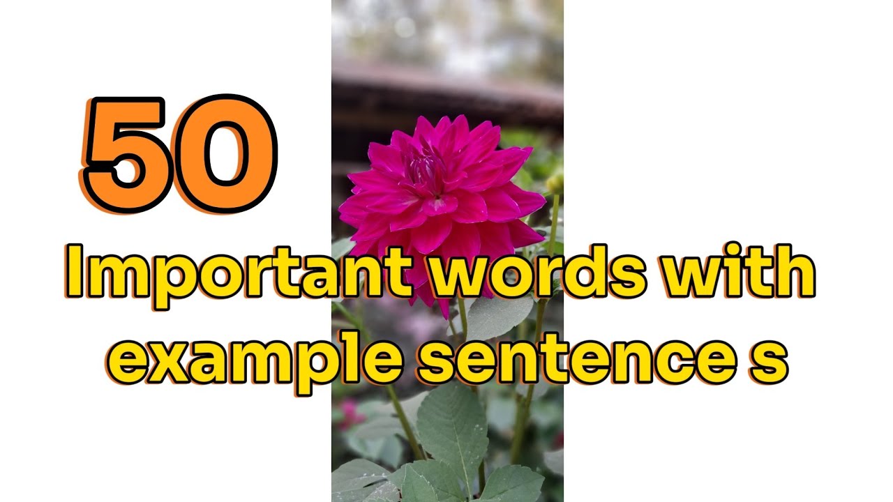 50 Important words with example sentence - YouTube