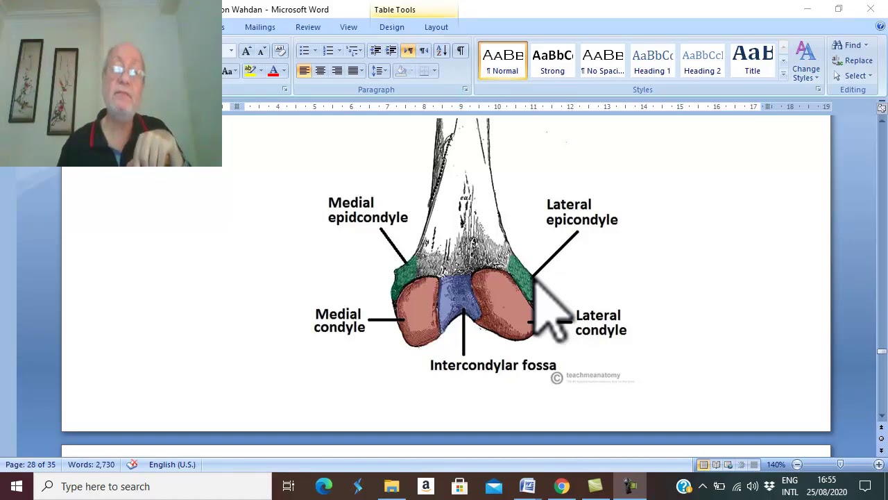 Introduction to anatomy in Arabic 7 (Bones , part 4 ) , by Dr. Wahdan ...