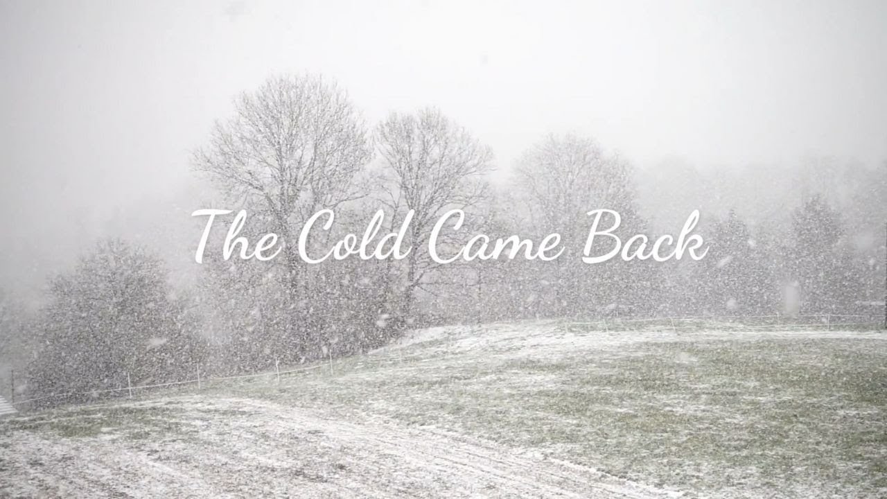 Katie Fee - "The Cold Came Back" [Official Lyric Video] - YouTube