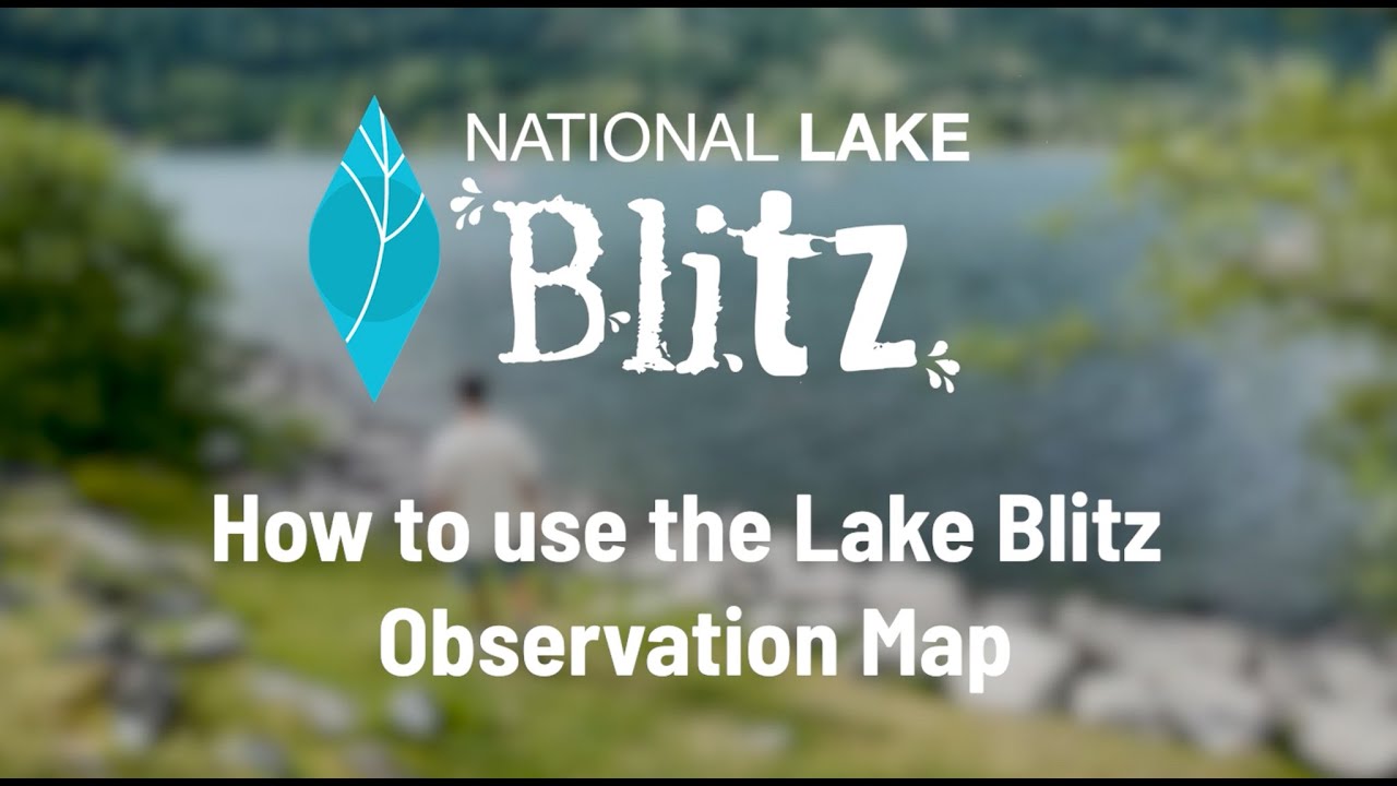 How to Use the Lake Blitz Map - YouTube