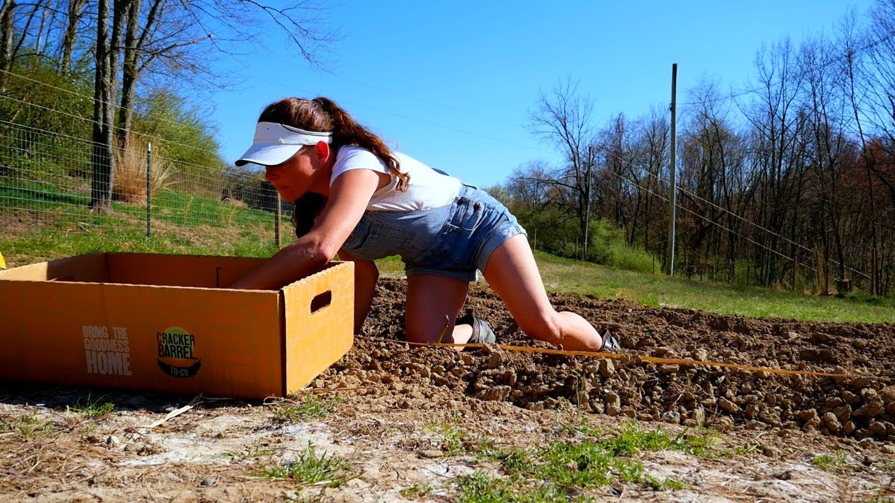 Trying to not drown them - Ep. 124 - YouTube